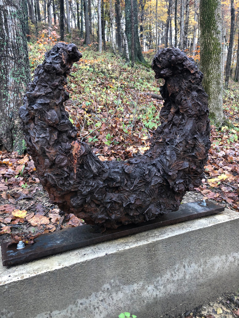 Meet Our Artists – Sculpture Trails